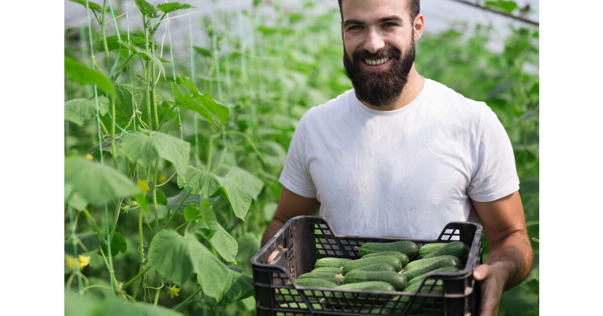 Letní trh práce: Co se děje u nás a ve světě během okurkové sezóny? | WOLIP
