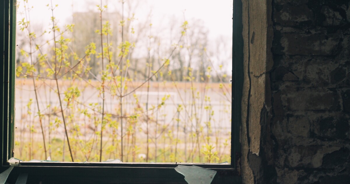 „Okno“ ve výběrovém řízení: Jak ho využít ve svůj prospěch | WOLIP